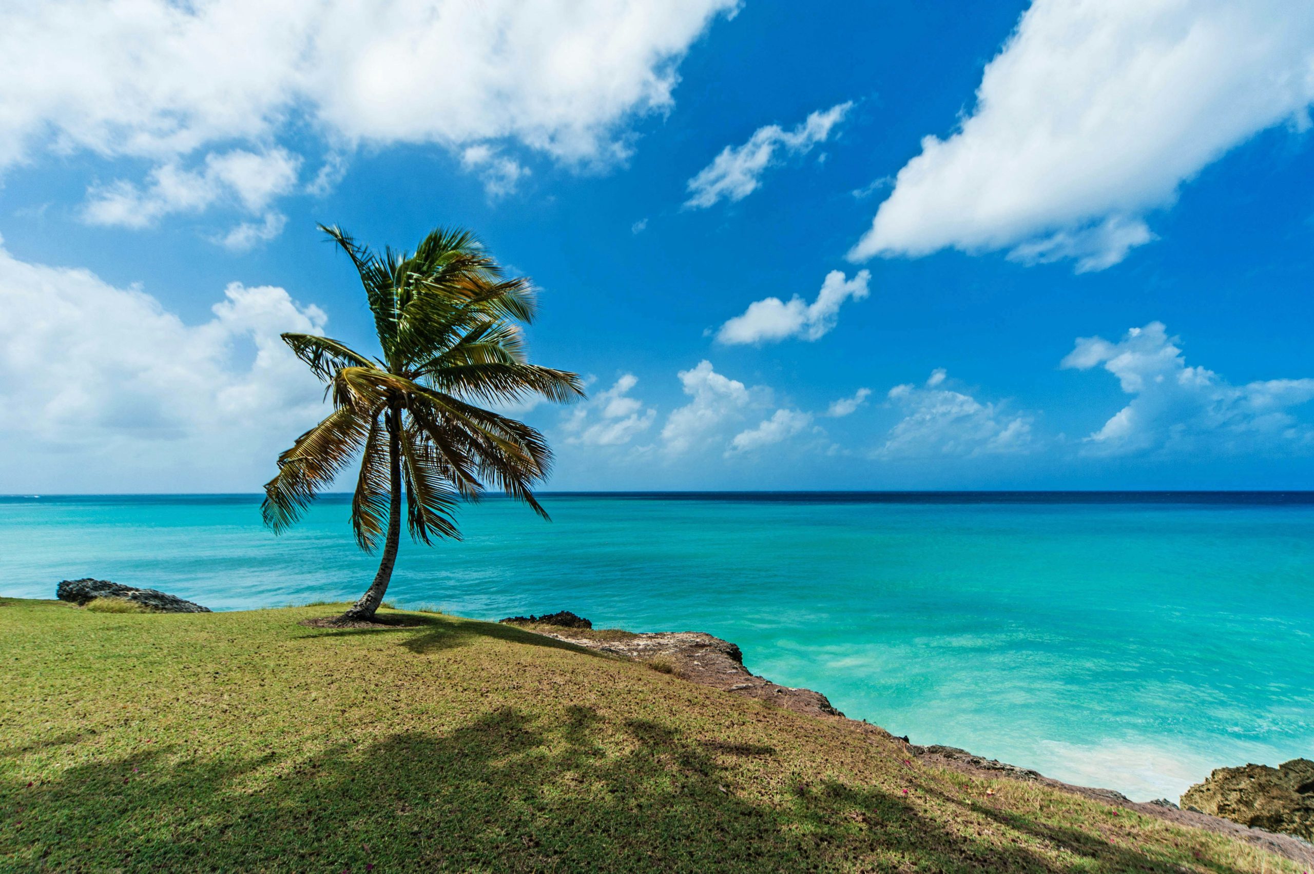 KARIBI! Povratne letalske karte iz Benetk na Barbados že od 650 eur ...